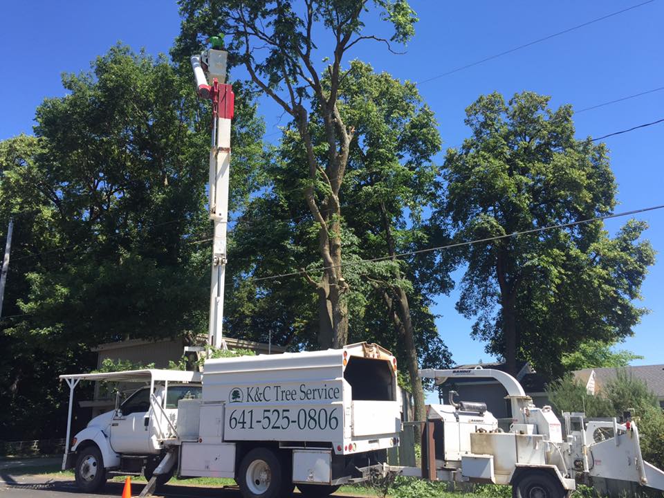Services – K&C Tree Service